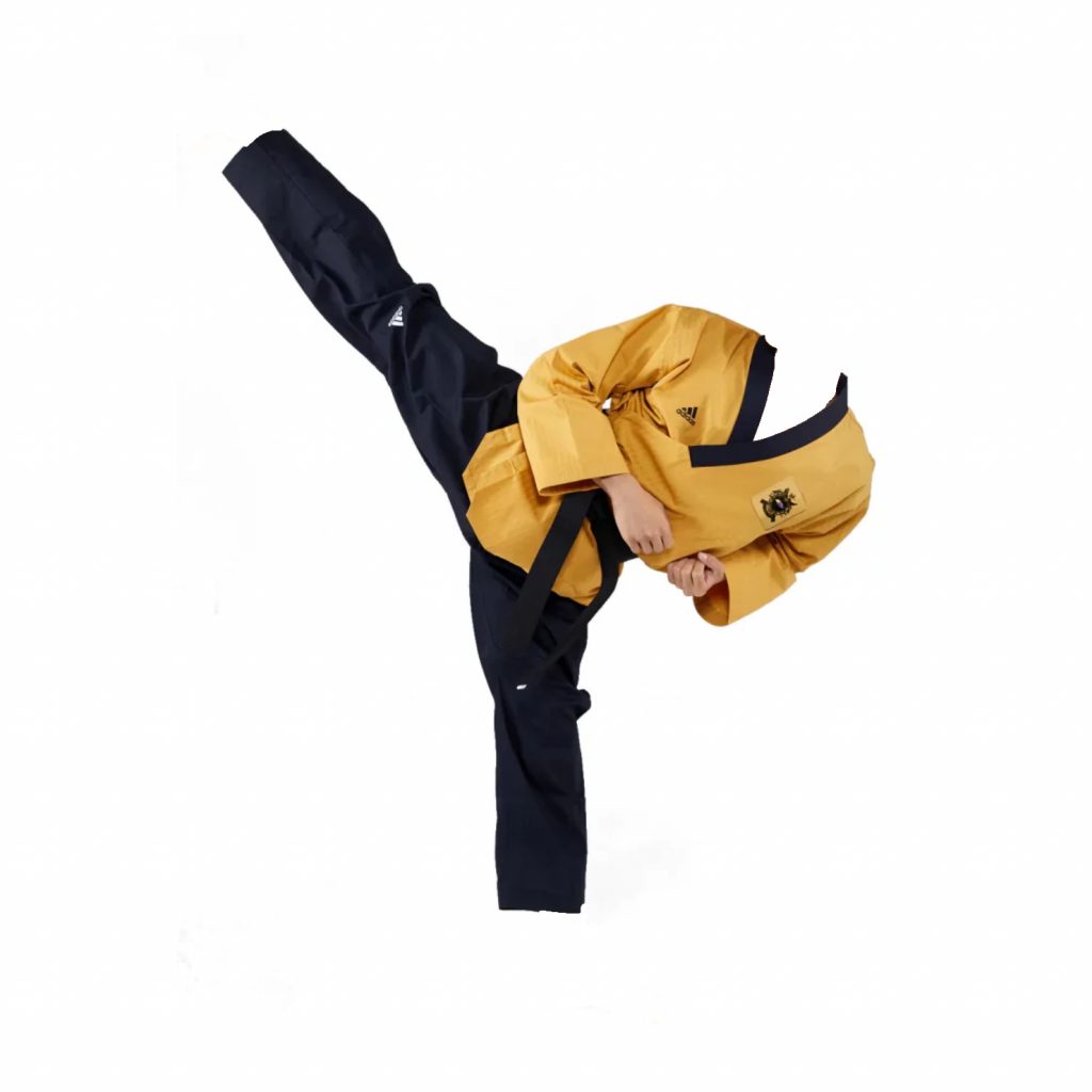 ADIDAS POOMSAE UNIFORM PREMIUM - adidas Combat Sports